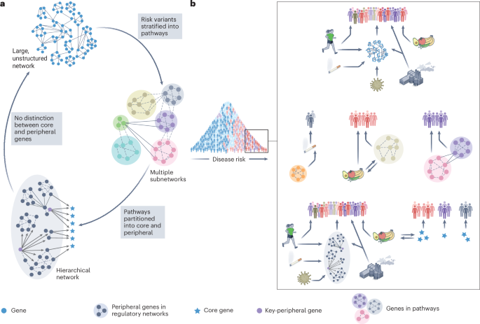 The polygenic, omnigenic and stratagenic models of complex disease risk ...