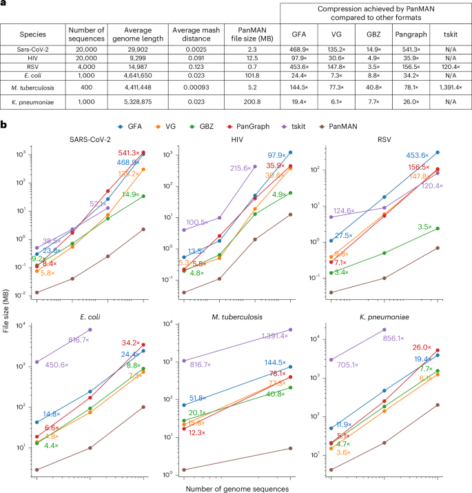 Compressive pangenomics using mutation-annotated networks | Nature Genetics