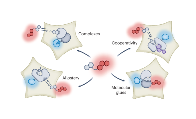 Advances in BRET probes for intracellular target engagement studies ...