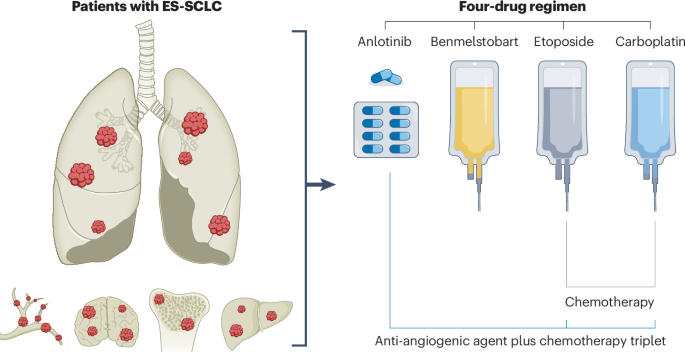 Navigating treatment combinations in small-cell lung cancer | Nature Medicine