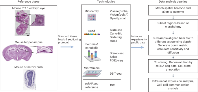 Advancing sequencing-based spatial transcriptomics with a comprehensive benchmarking study ...