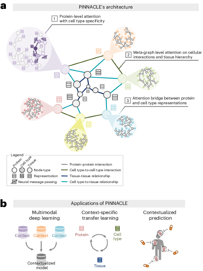 Contextual AI models for context-specific prediction in biology ...