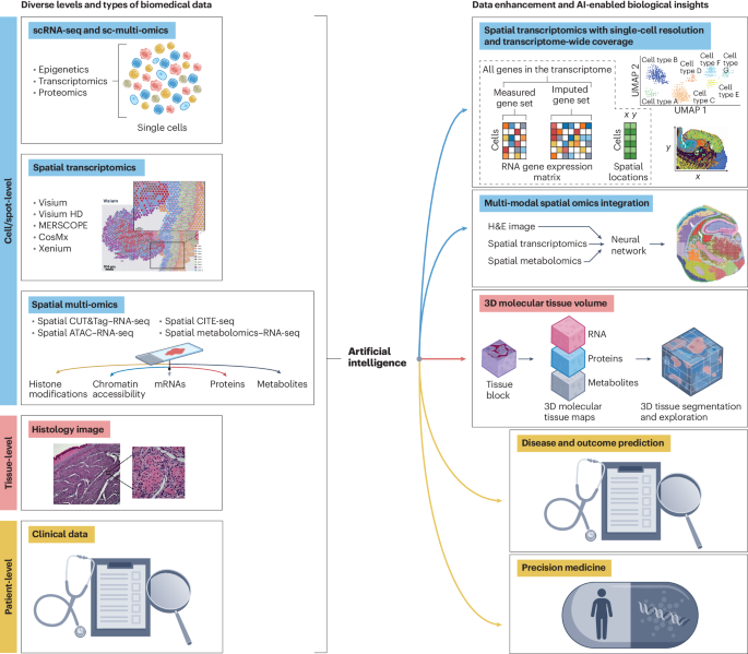 Unlocking the power of spatial omics with AI | Nature Methods