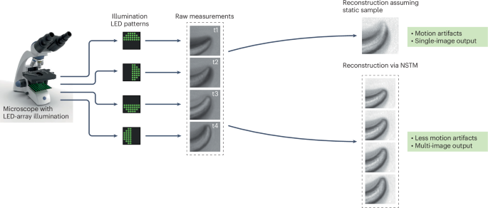 Content-aware motion correction for multi-shot imaging | Nature Methods