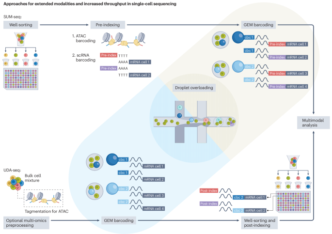 Methods for multiplexing single-cell multi-omics | Nature Methods