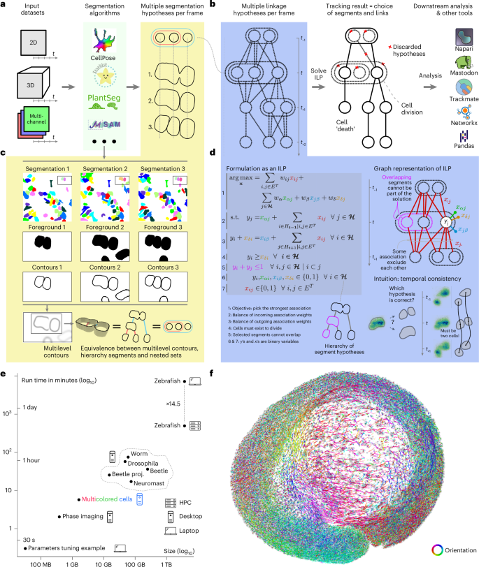 Ultrack: pushing the limits of cell tracking across biological scales | Nature Methods