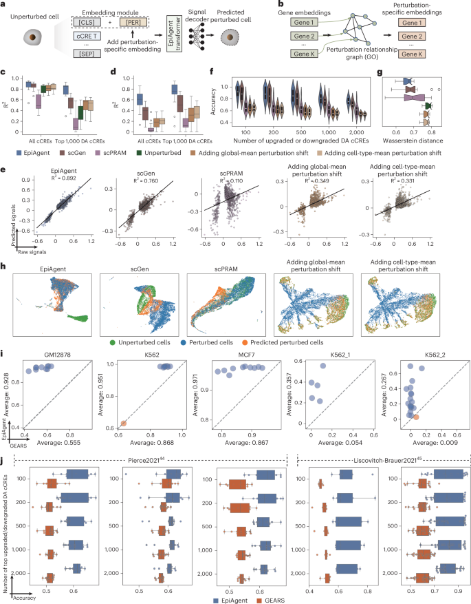 EpiAgent: foundation model for single-cell epigenomics | Nature Methods