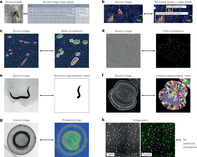 MIFA: Metadata, Incentives, Formats and Accessibility guidelines to ...