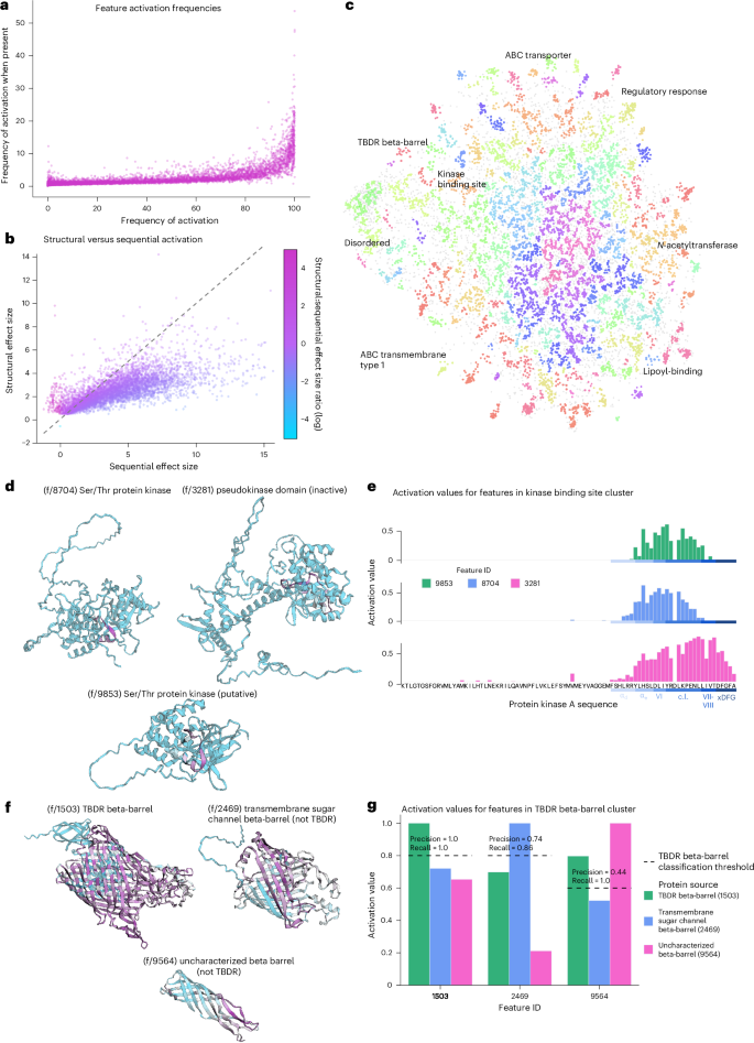 InterPLM: discovering interpretable features in protein language models via sparse autoencoders ...