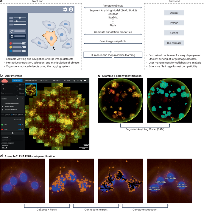 NimbusImage: a cloud-computing platform for image analysis | Nature Methods