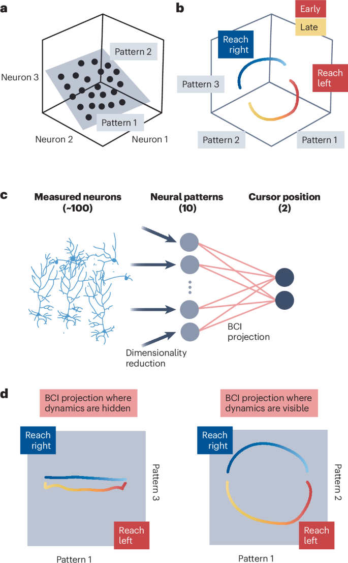 Neural populations are dynamic but constrained | Nature Neuroscience