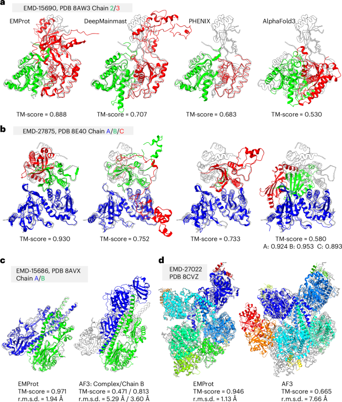 EMProt improves structure determination from cryo-EM maps | Nature Structural & Molecular Biology