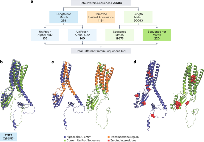 The aging of the AlphaFold database | Nature Structural & Molecular Biology