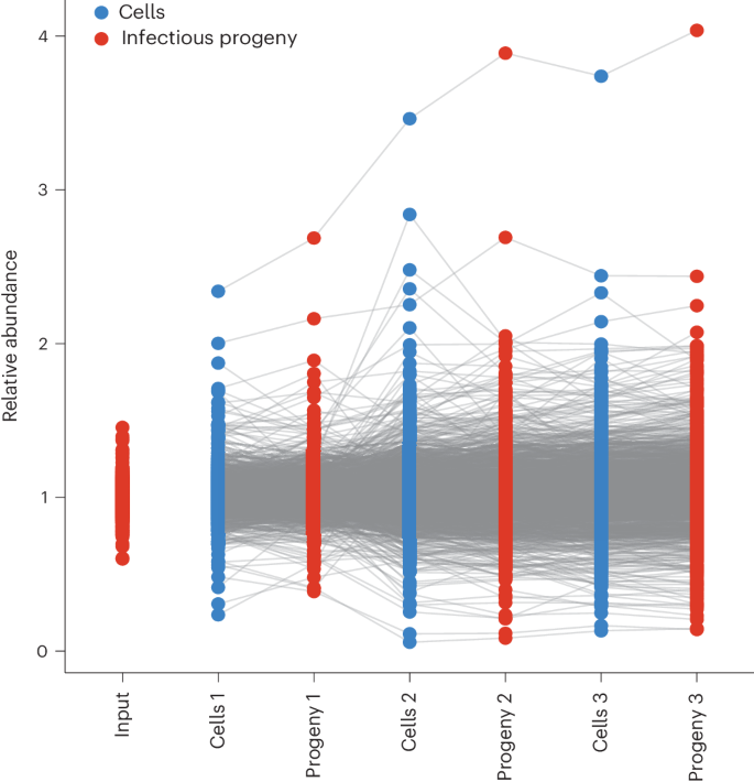 Multidimensional analysis of host–virus interactions using the virus-encoded CRISPR-based direct ...