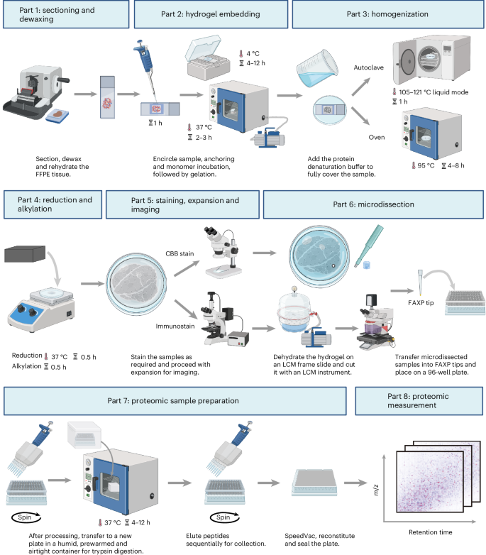 Filter-aided expansion proteomics for the spatial analysis of single ...