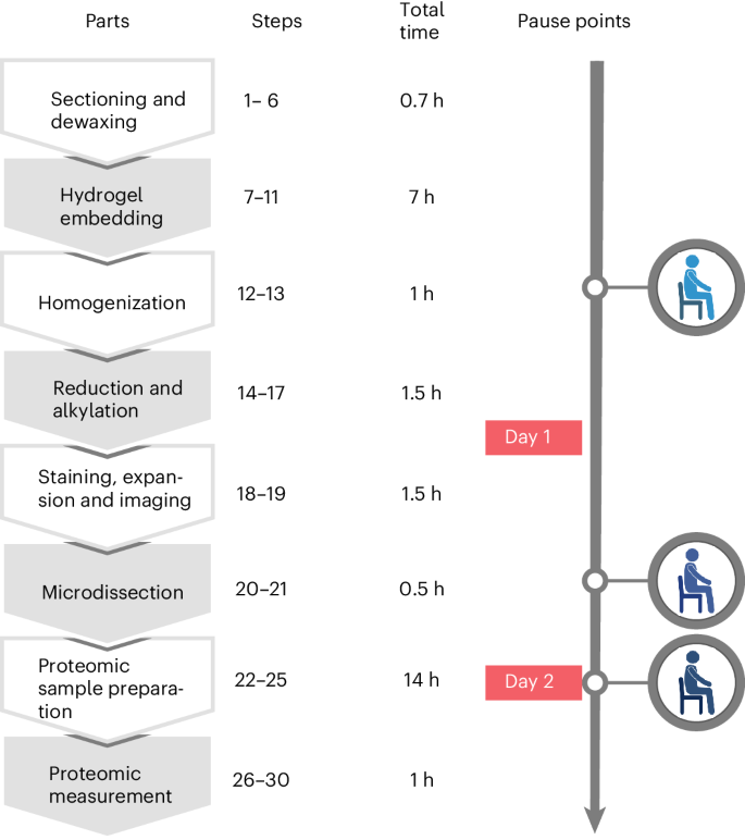 Filter-aided expansion proteomics for the spatial analysis of single ...