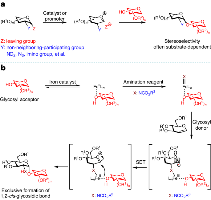 Iron-catalyzed stereoselective glycosylation for 1,2-cis-aminoglycoside ...