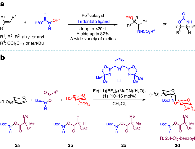 Iron-catalyzed stereoselective glycosylation for 1,2-cis-aminoglycoside ...