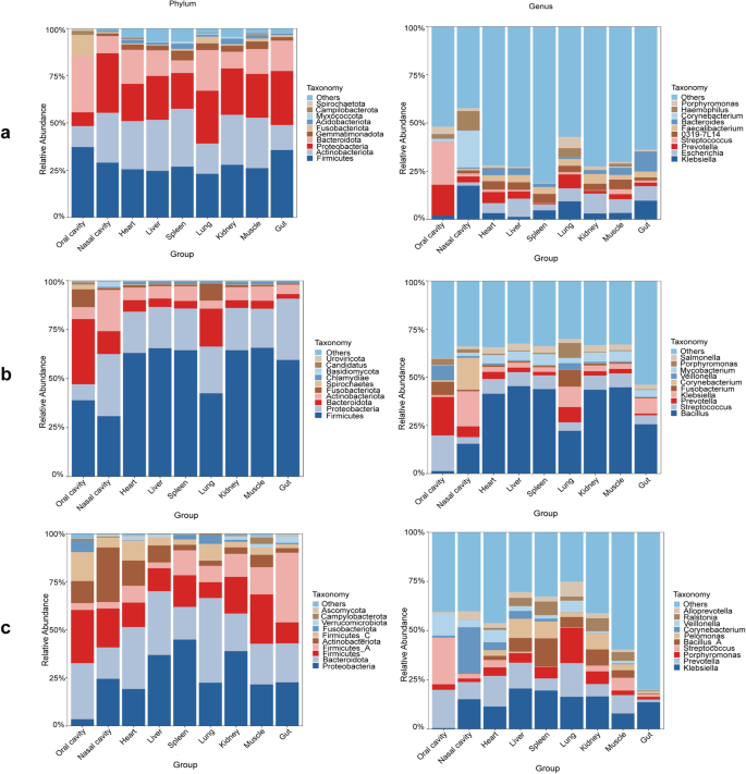 16S rRNA, metagenomics and 2bRAD-M sequencing to decode human ...