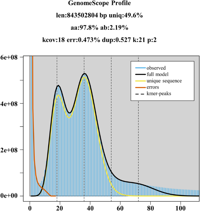 Chromosome-level genome assembly of Hippophae rhamnoides variety ...
