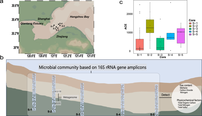 Microbial communities and metagenomes in methane-rich deep coastal ...