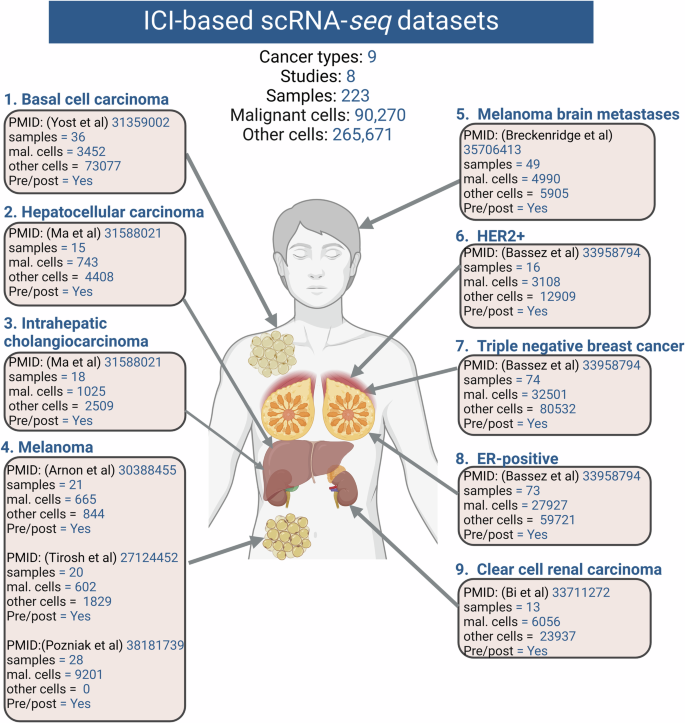 Integrated cancer cell-specific single-cell RNA-seq datasets of immune ...