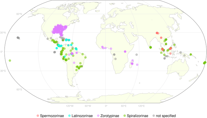 Curated global occurrence dataset of the insect order Zoraptera ...