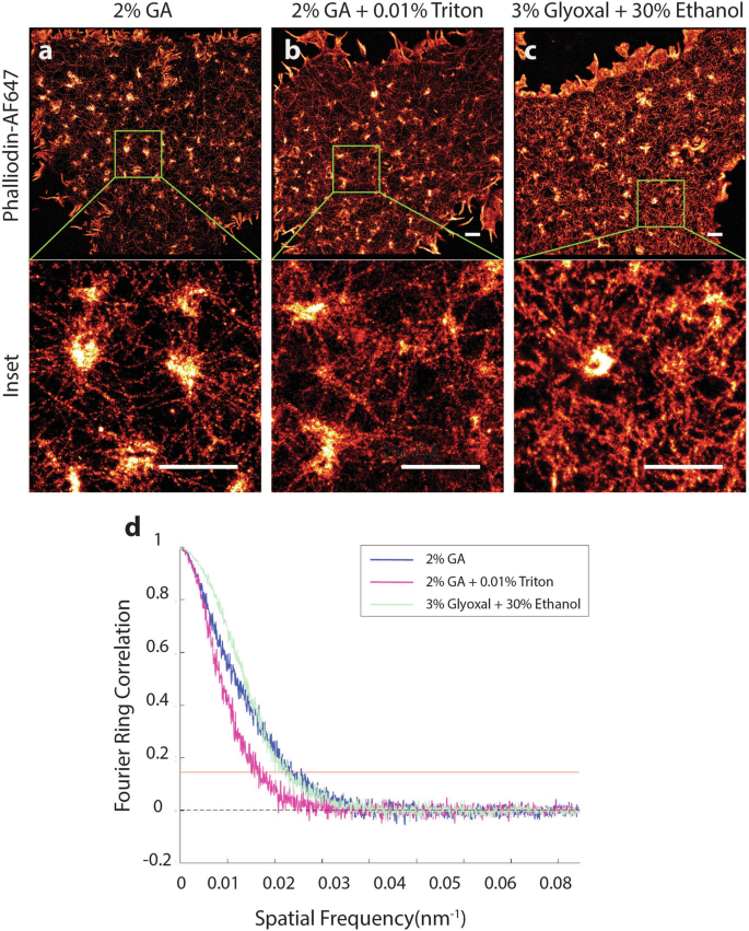 Fast Single-Particle Tracking of Membrane Proteins Combined with Super ...