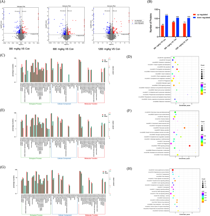 A multi-omics dataset of C57 BL/6J mice regulated function by feed with ...