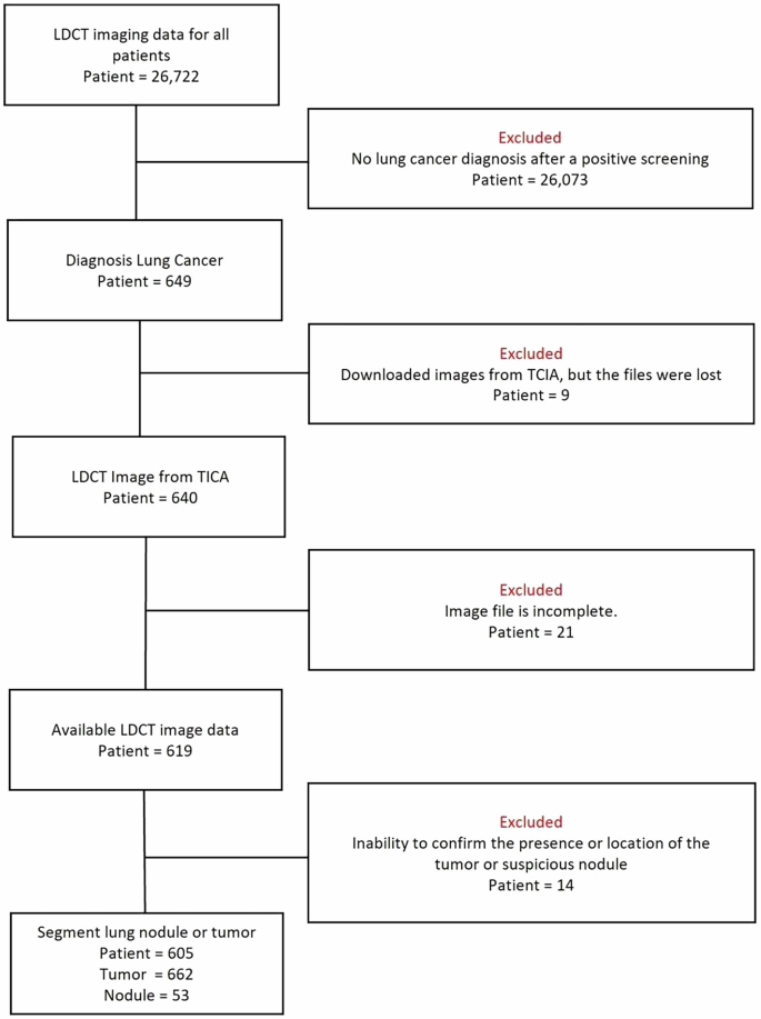 NLSTseg: A Pixel-level Lung Cancer Dataset Based on NLST LDCT Images | Scientific Data