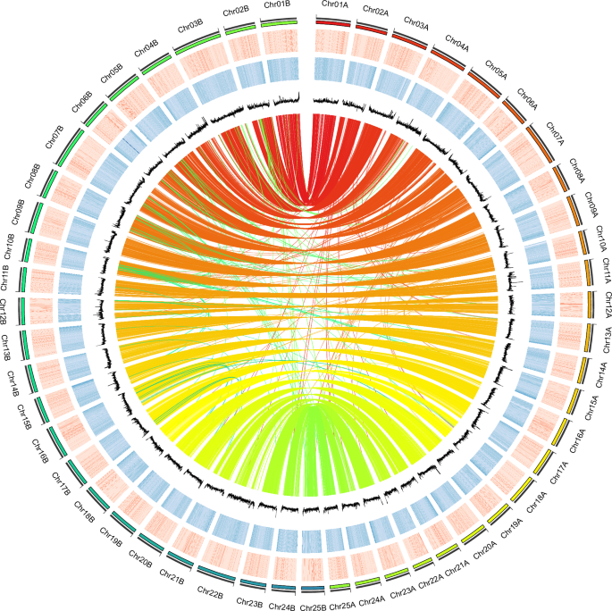 A high-quality chromosome-level genome assembly of the common carp ...