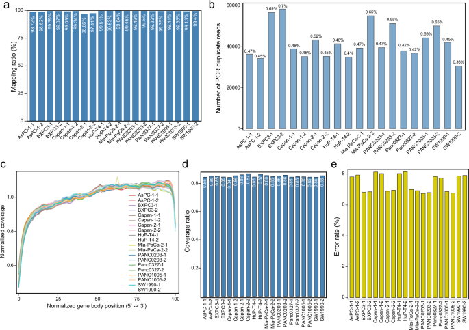 Long-read RNA sequencing dataset of human pancreatic cancer cell lines ...