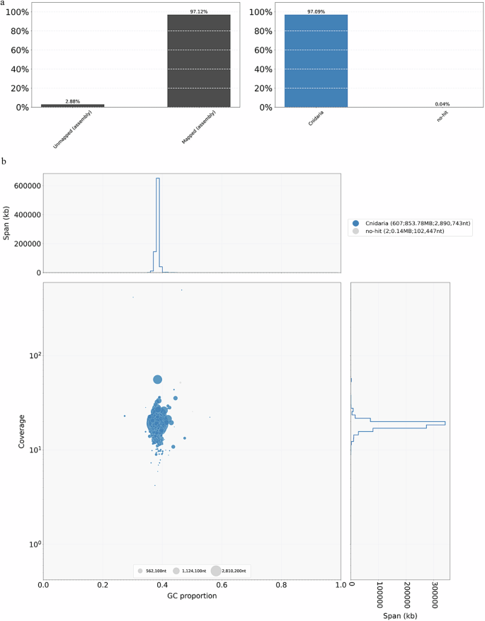 A draft genome assembly of the mushroom coral Podabacia crustacea ...