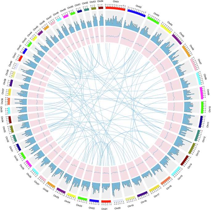 Chromosome-Level Genome Assembly and Annotation of purple nutsedge ...