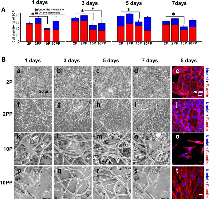 Mussel Inspired Polynorepinephrine Functionalized Electrospun ...