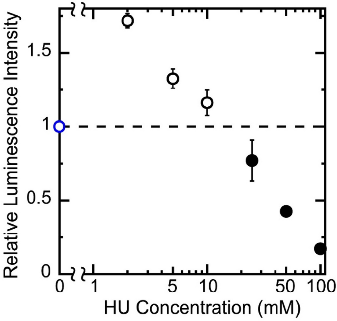 Characteristic effect of hydroxyurea on the higher-order structure of ...