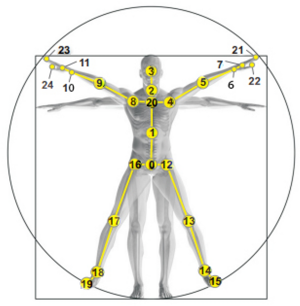 A human activity recognition method based on Vision Transformer ...