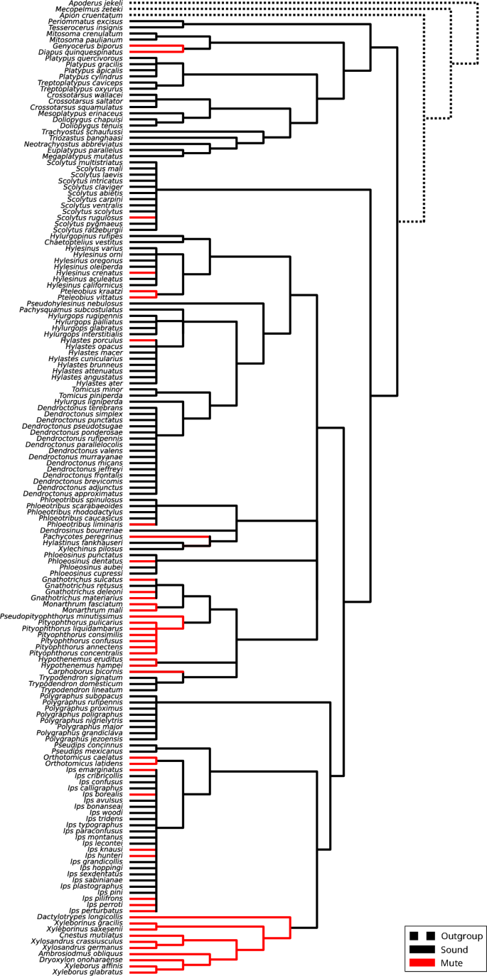 Body size and sequence of host colonisation predict the presence of acoustic signalling in ...