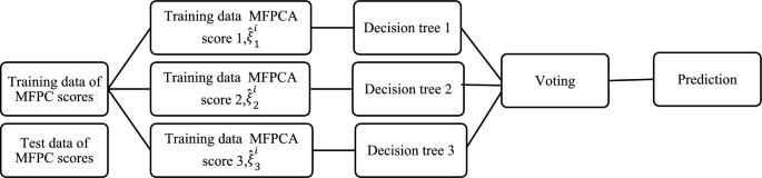 Functional data geometric morphometrics with machine learning for ...