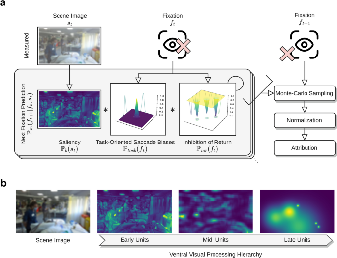 A prospective multi-center study quantifying visual inattention in ...