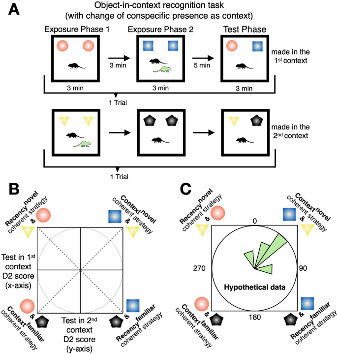 Mice integrate conspecific and contextual information in forming social ...