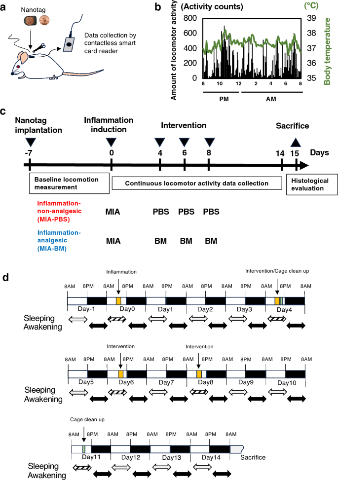 A novel methodology utilizing microchip implants to monitor individual ...