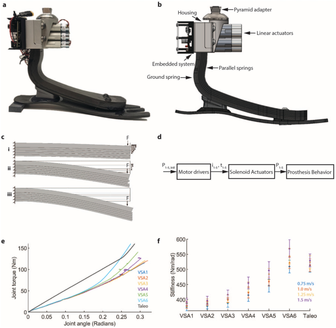 Variable-stiffness prosthesis improves biomechanics of walking across ...