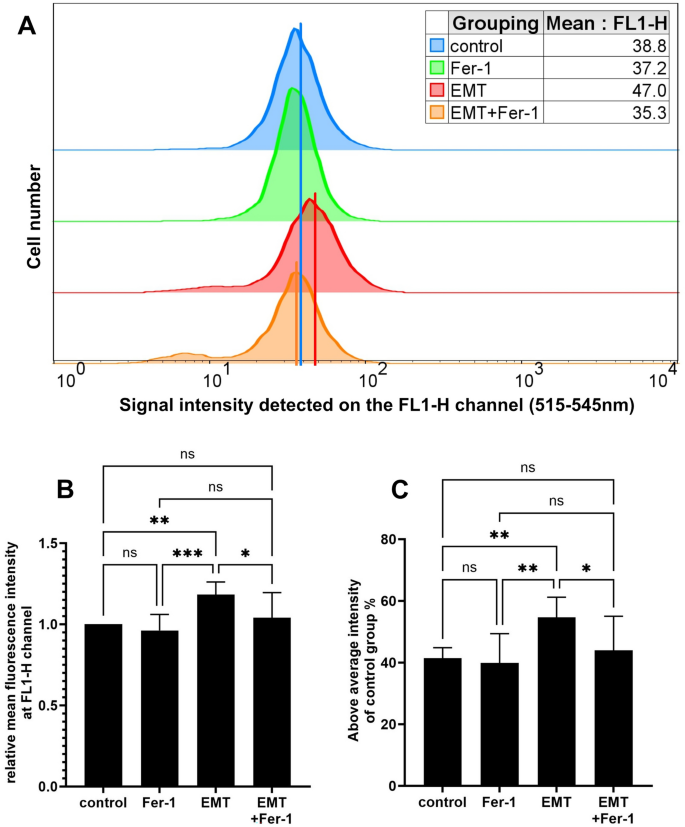 The role of lipid peroxidation in epithelial–mesenchymal transition of ...