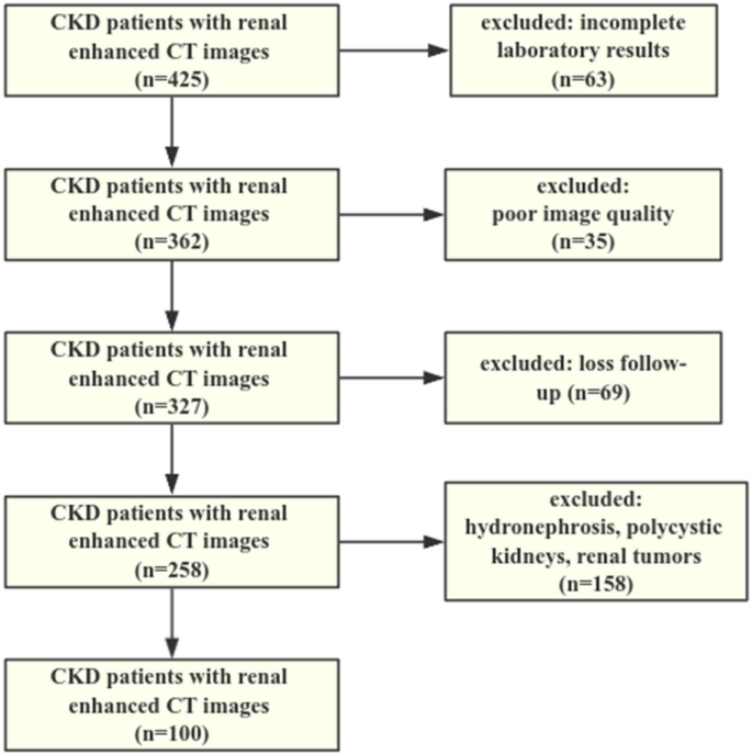 AI-based segmentation of renal enhanced CT images for quantitative evaluate of chronic kidney ...
