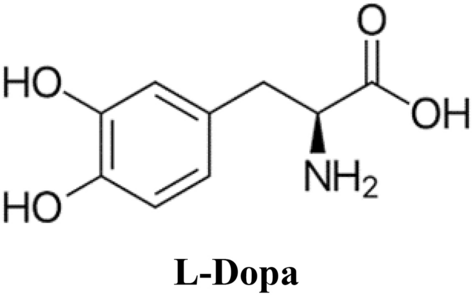 Neuroprotective effects of L-Dopa-modified zinc oxide nanoparticles on the rat model of 6-OHDA ...