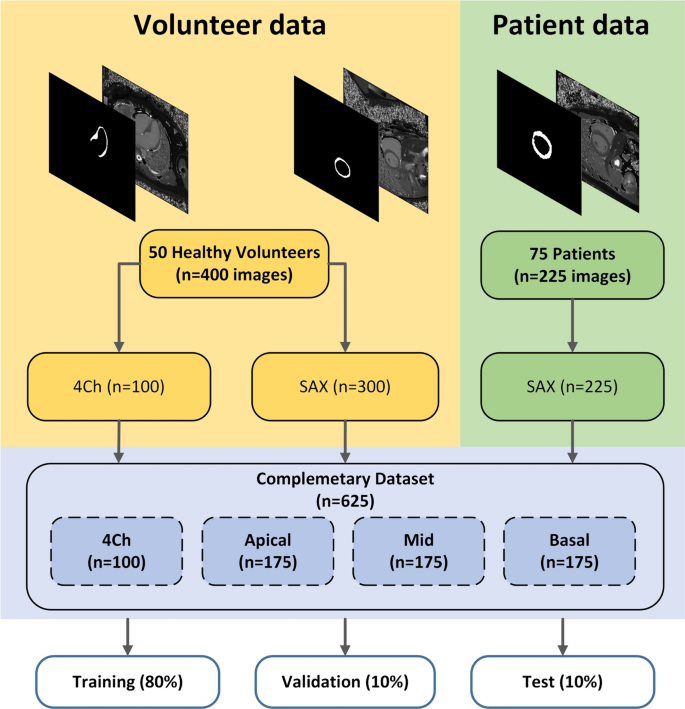 Development and performance evaluation of fully automated deep learning-based models for ...