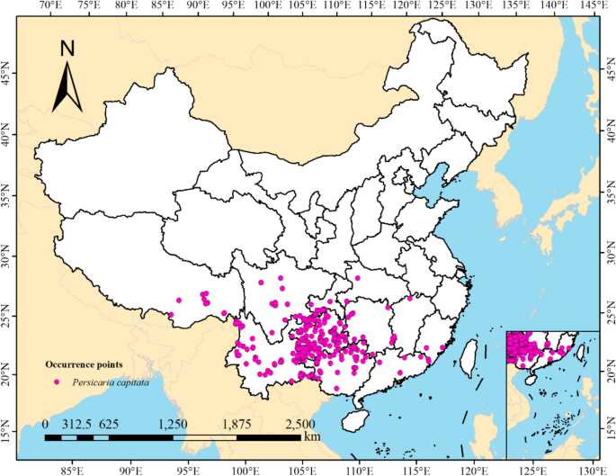 Predicting Polygonum capitatum distribution in China across climate ...