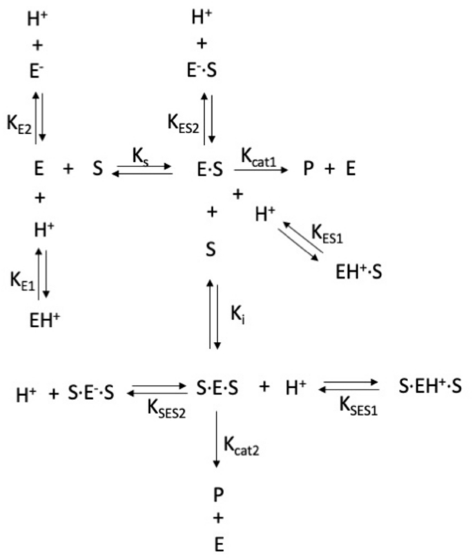 Analysis of phosphofructokinase-1 activity as affected by pH and ATP ...