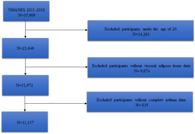 Association between asthma and visceral adipose tissue in adults, a cross-sectional study from ...